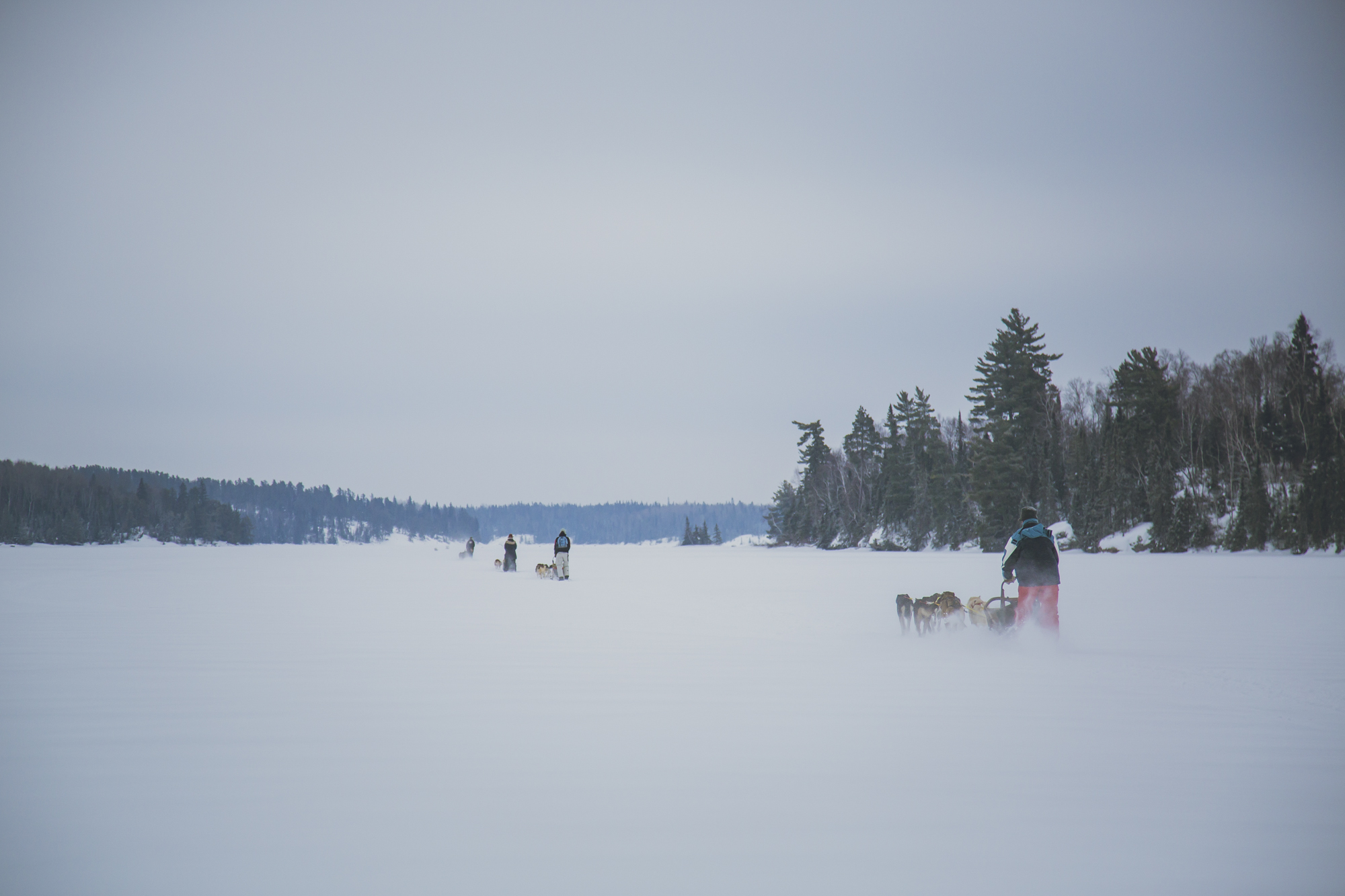 Photos – Borealis Sled Dog Adventures