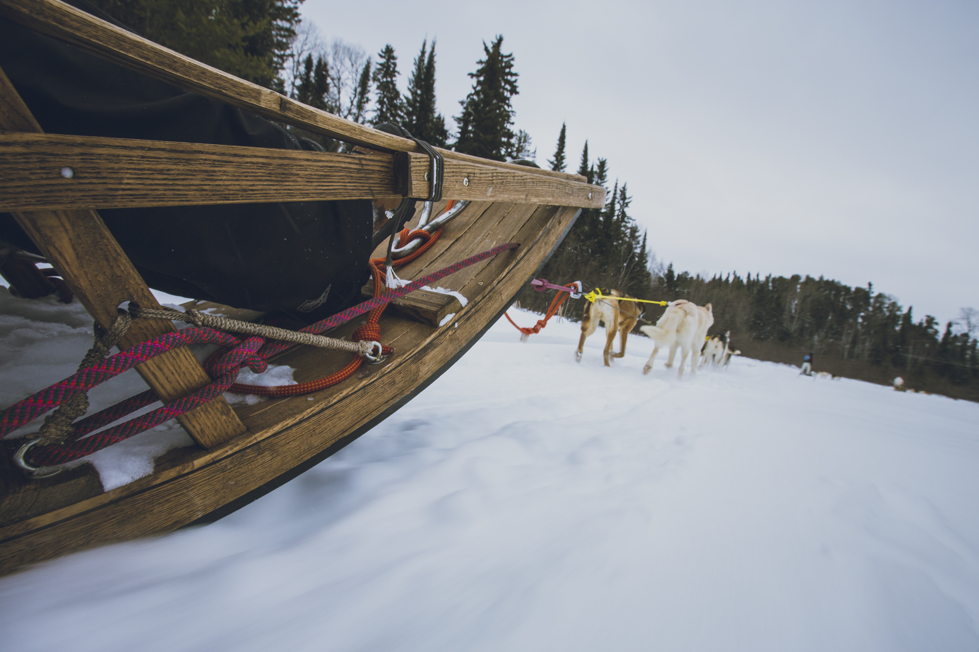 Photos – Borealis Sled Dog Adventures