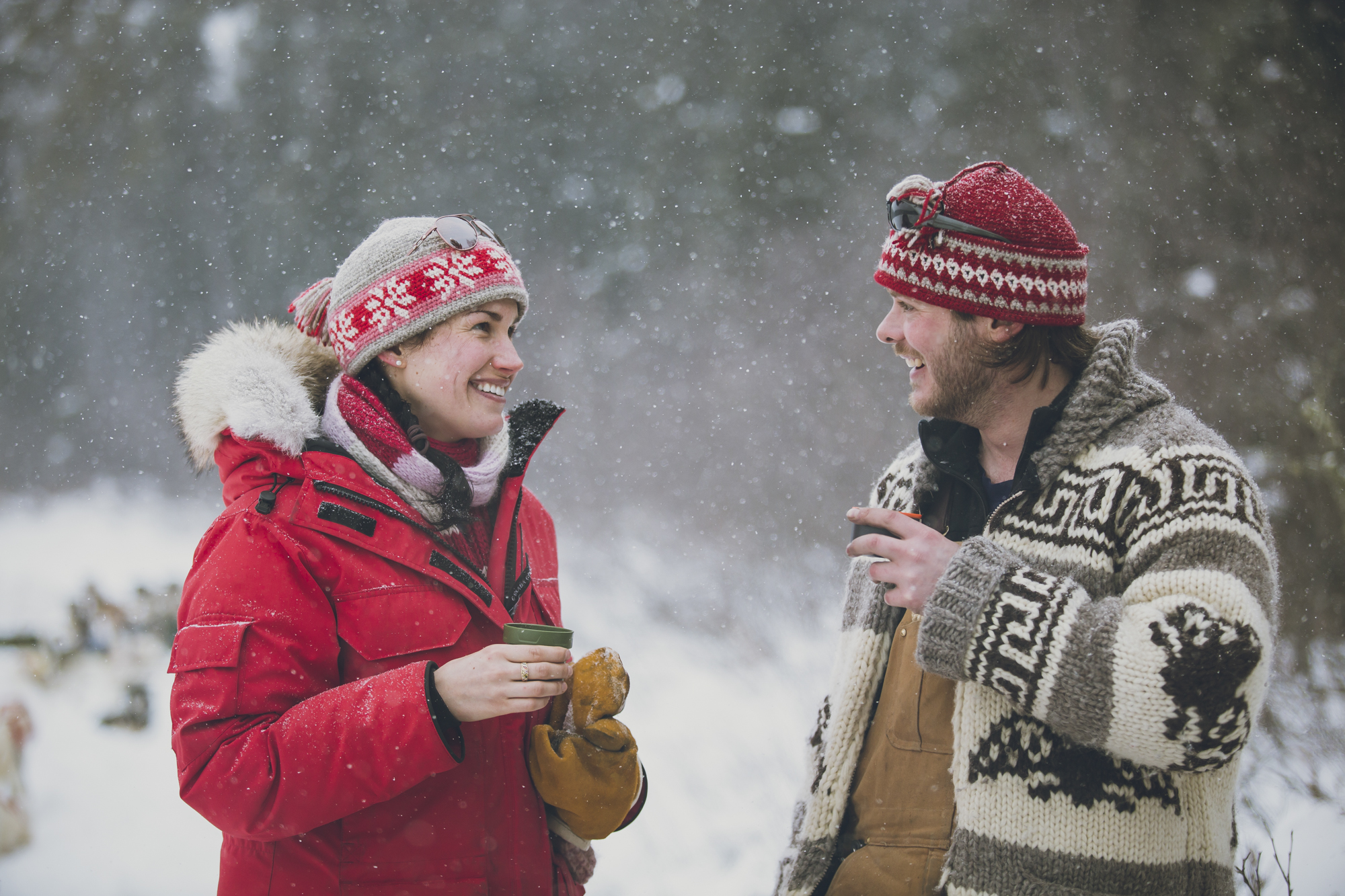 Photos – Borealis Sled Dog Adventures