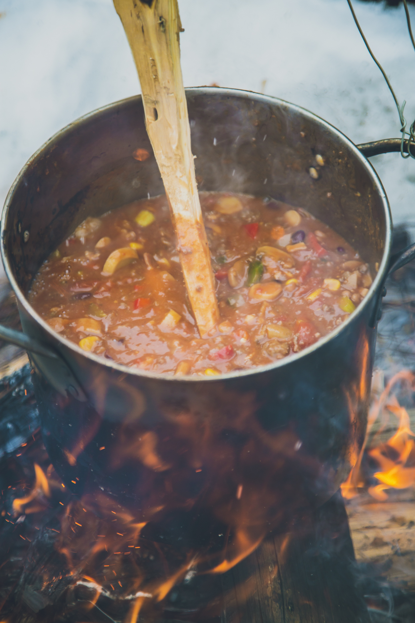 Photos – Borealis Sled Dog Adventures