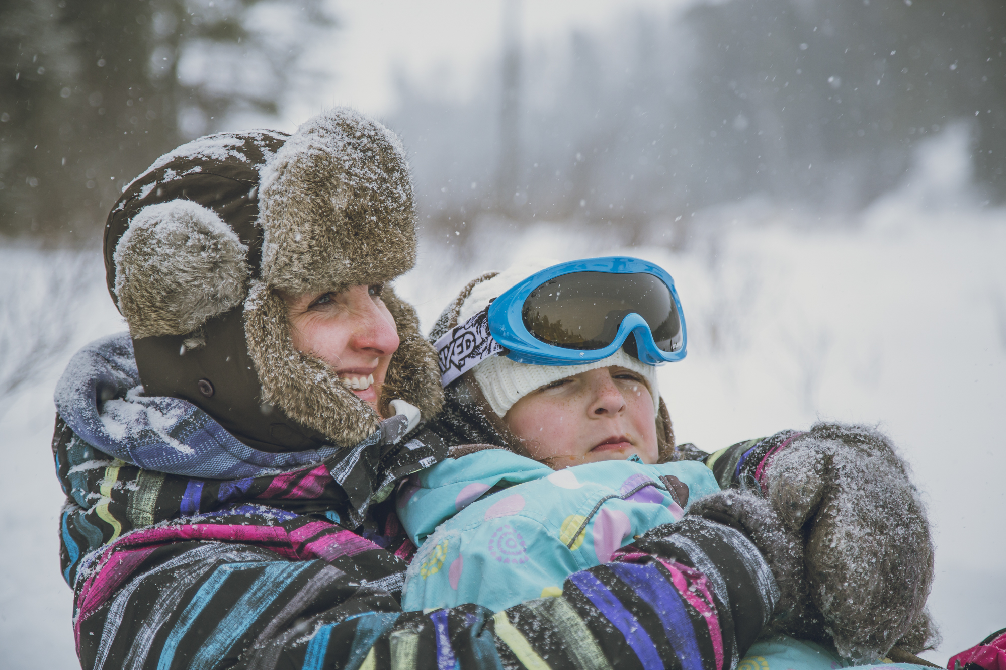 Photos – Borealis Sled Dog Adventures