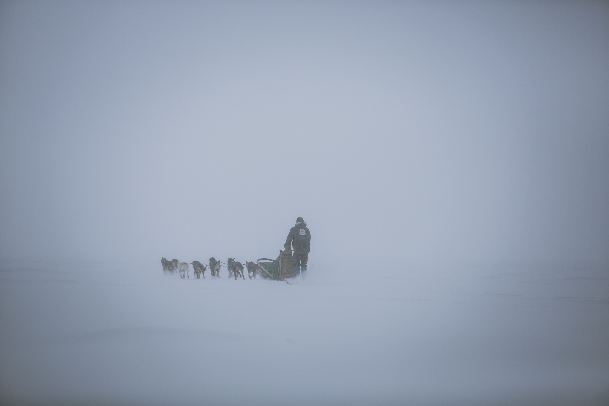 Photos – Borealis Sled Dog Adventures