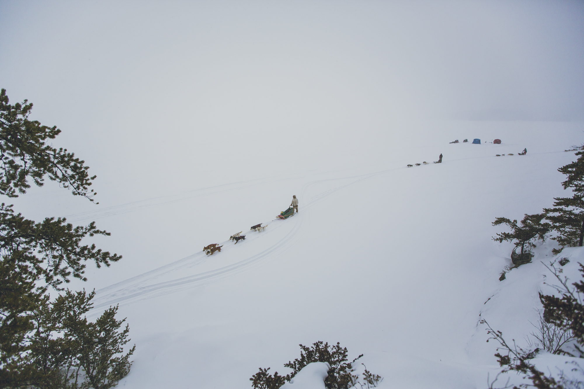 Photos – Borealis Sled Dog Adventures