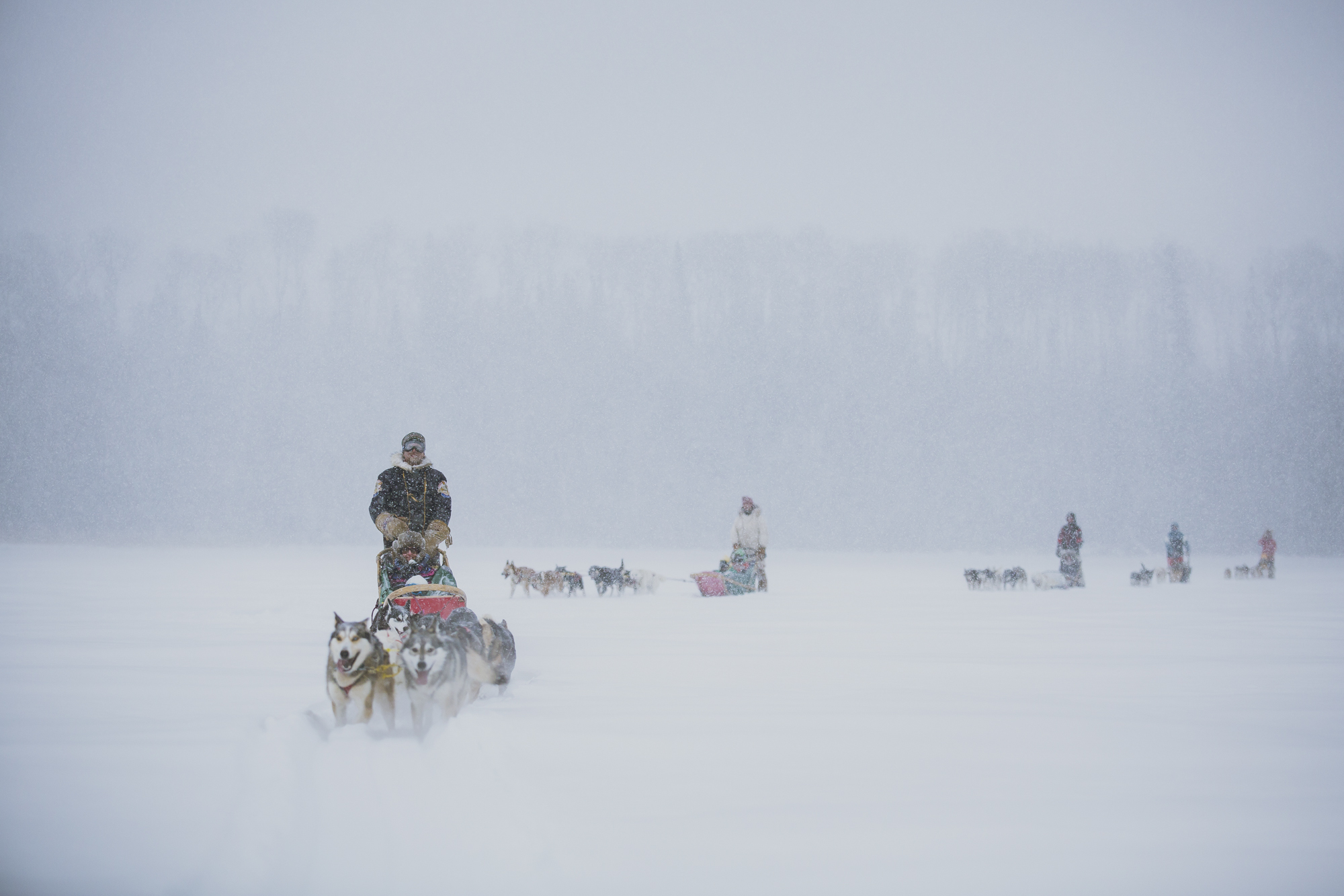 Photos – Borealis Sled Dog Adventures