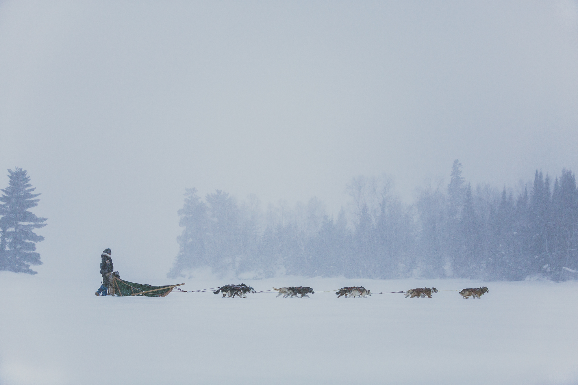 Photos – Borealis Sled Dog Adventures